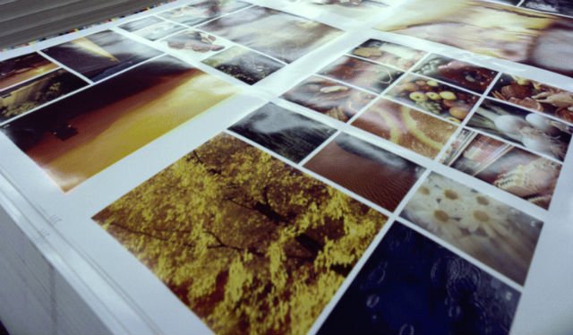 Printing Services - Digital Printing, Copying, and Binding Services ...