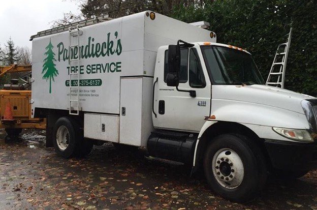 Tree Service Company | Salem, OR | Papendieck's Tree Service