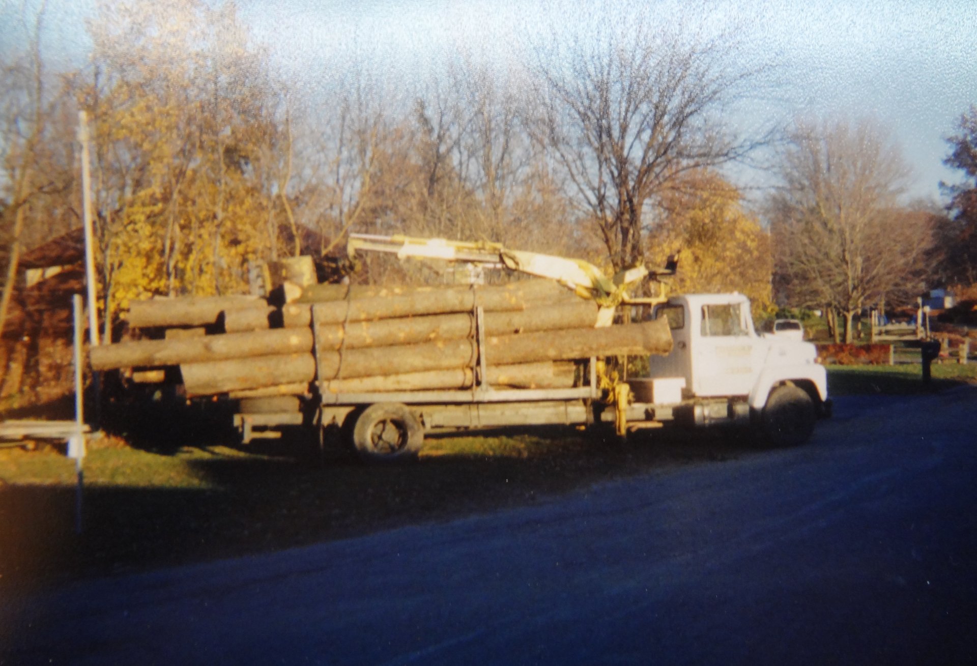 Local Tree Experts - Delton, MI - Ritchie's Tree Service