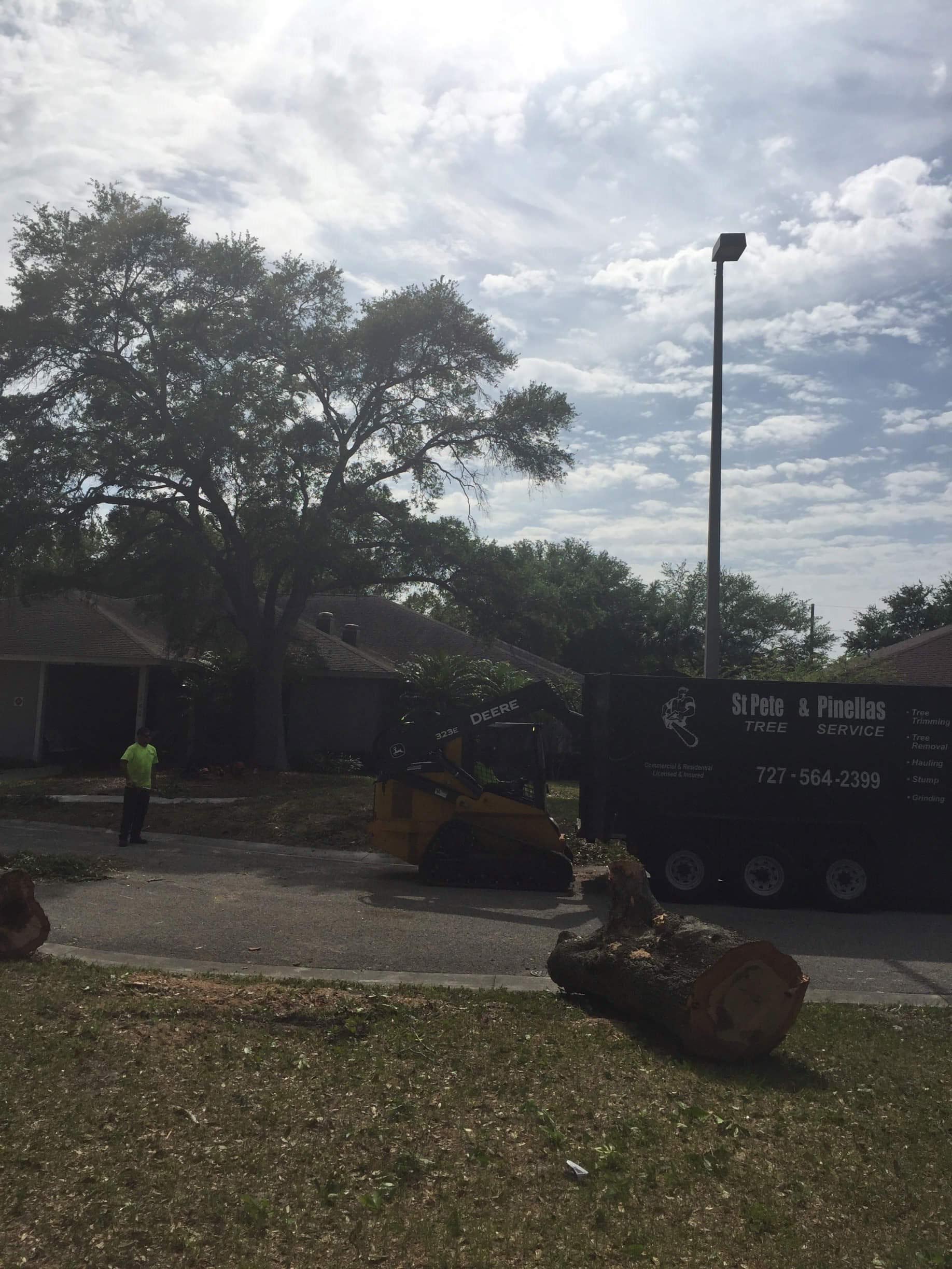 Tree Removal Services for St Petersburg, FL
