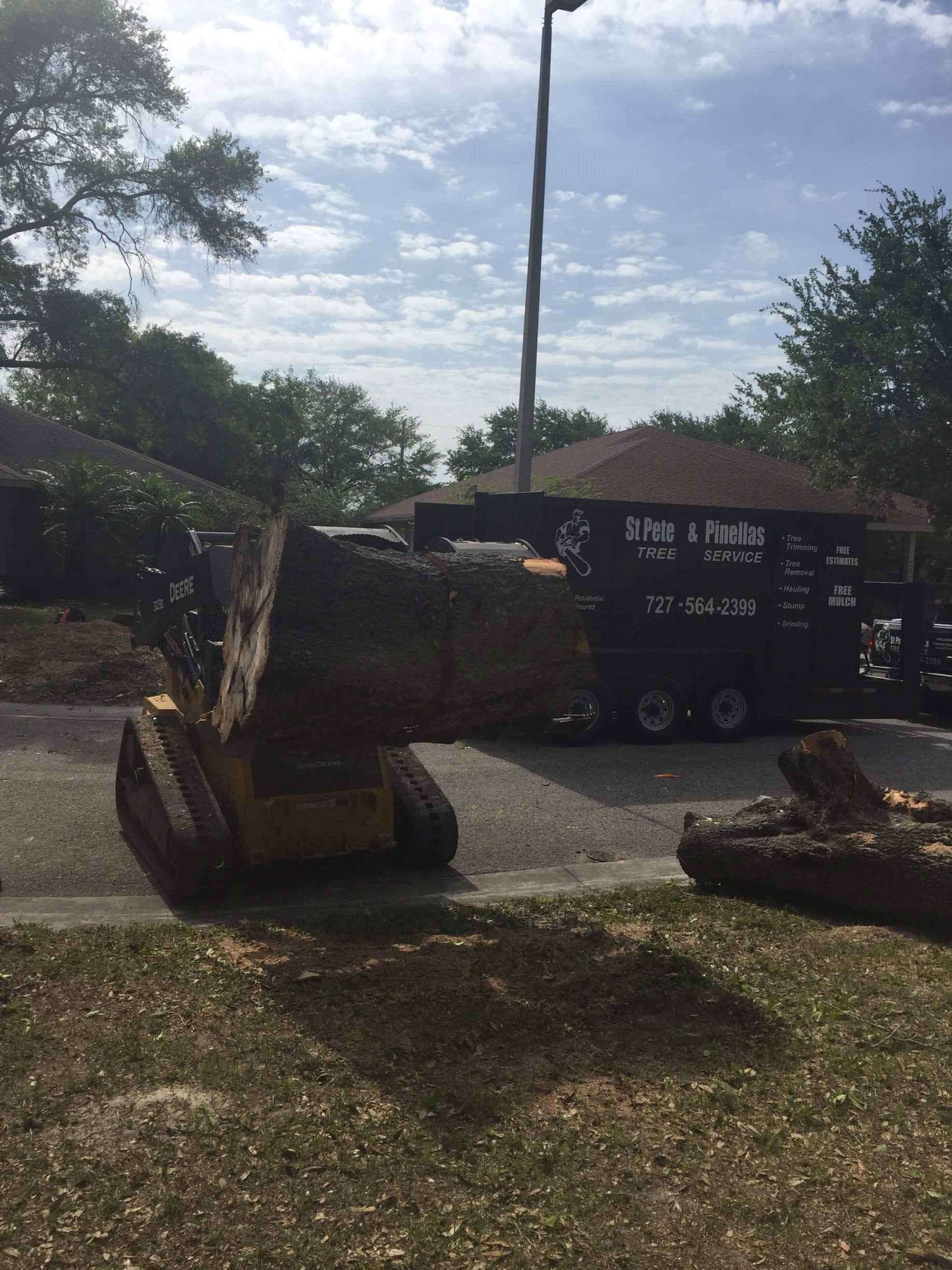 Tree Removal Services for St Petersburg, FL