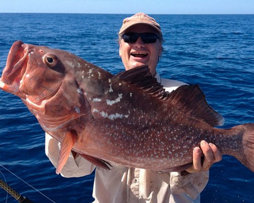 All about fishing | Sarasota Florida | Rods and Reels