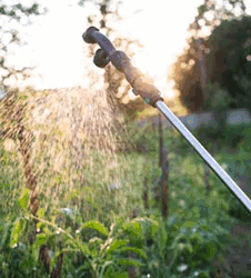Services Provided - Organic Lawn Spray - Westchester, NY - Nature's ...