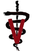 Animal Hospital | Rahway, NJ | Clark Animal Hospital