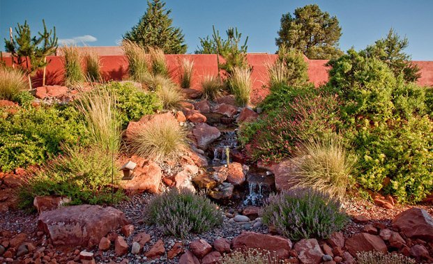 Joshua Tree & Landscape Company - Work Gallery Sedona & Prescott ...