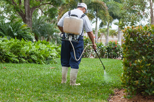 Mosquito Control | Memphis, TN | M&W Termite Control Co, Inc.
