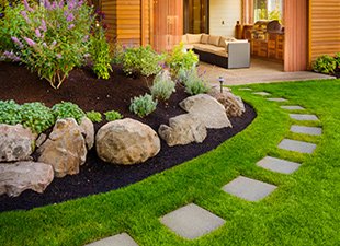 Fort Worth, Texas, Tree Care Specialists | Horton Tree Service