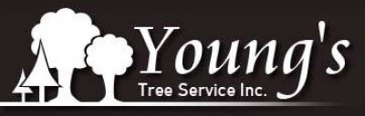 Home | Langhorne, PA | Young's Tree Service