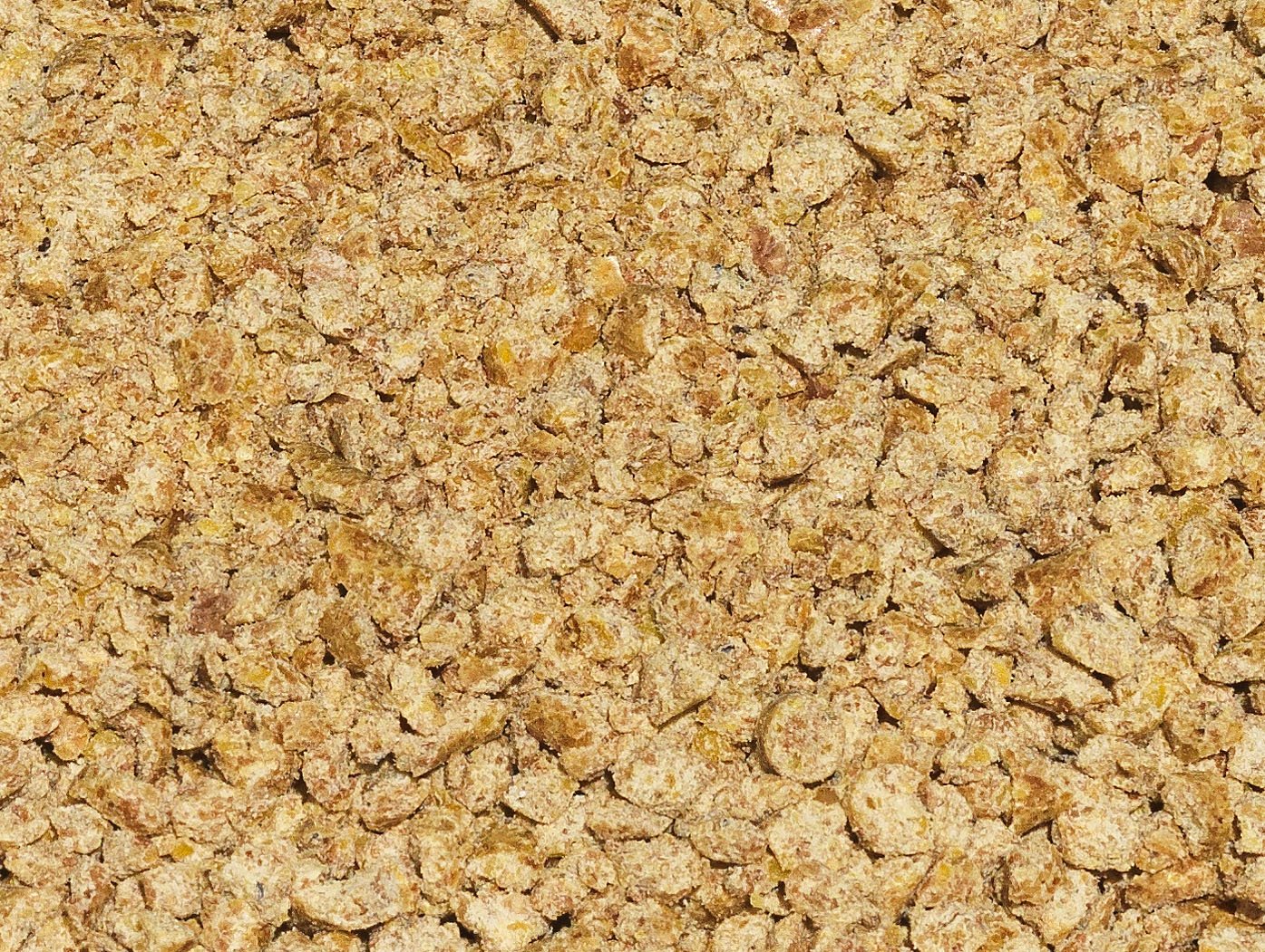 Custom Chicken Feed | Okeechobee, FL | Syfrett Feed Company, Inc
