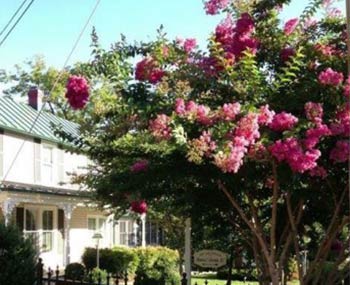 Legal Practice | Culpeper, VA | The Law Offices of The Law Offices of ...