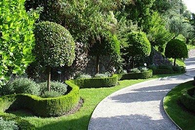 Plants | Holland, OH | Nevel Landscaping & Tree Services Inc.