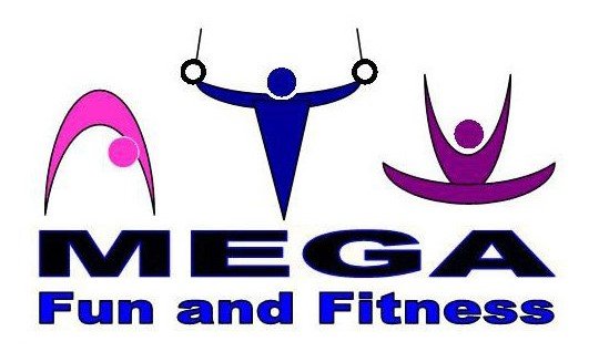 Gymnastics | Novi, MI | MEGA Fun and Fitness