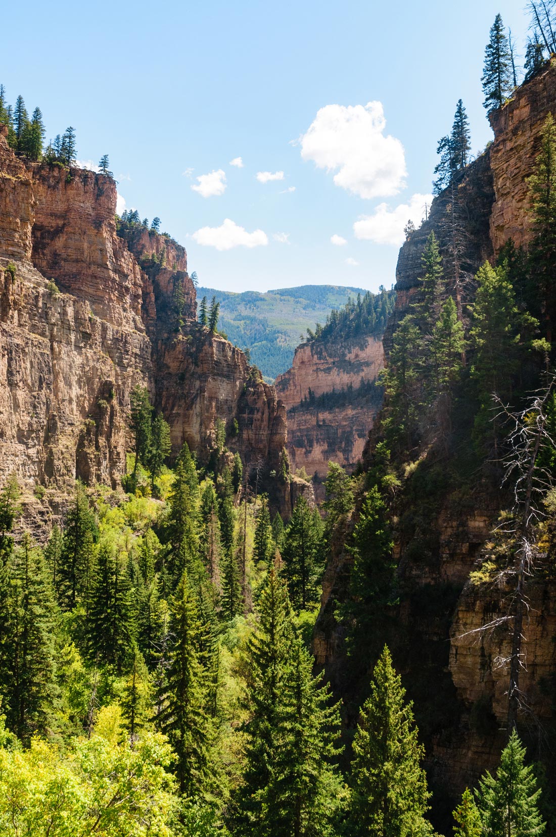 Local Activities | Glenwood Springs, CO | Silver Spruce Inn