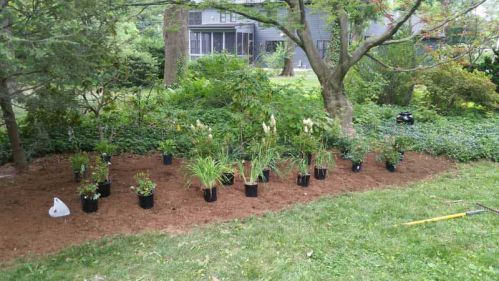 Gallery| Joe's Landscaping| Princeton, NJ