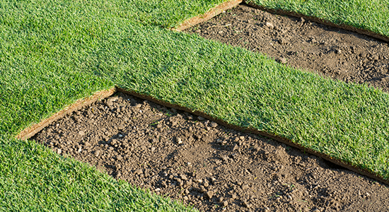 Turf Sales in Colorado Springs, CO | Templeton Gap Turf Farm LLC