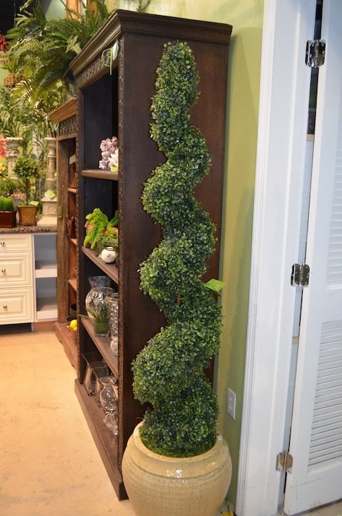 Trees & Standing Plants | Wellington, FL | The Stalk Market