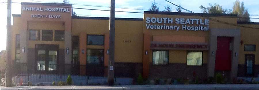 Seattle Emergency Veterinary Hospital Tour