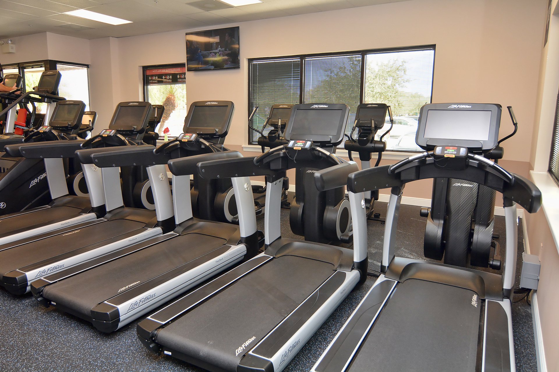 Fitness Help, | Ft Myers, FL | Smash Fitness