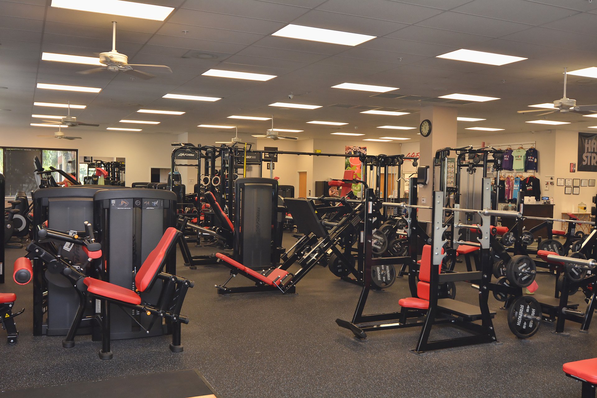 Fitness Help, | Ft Myers, FL | Smash Fitness