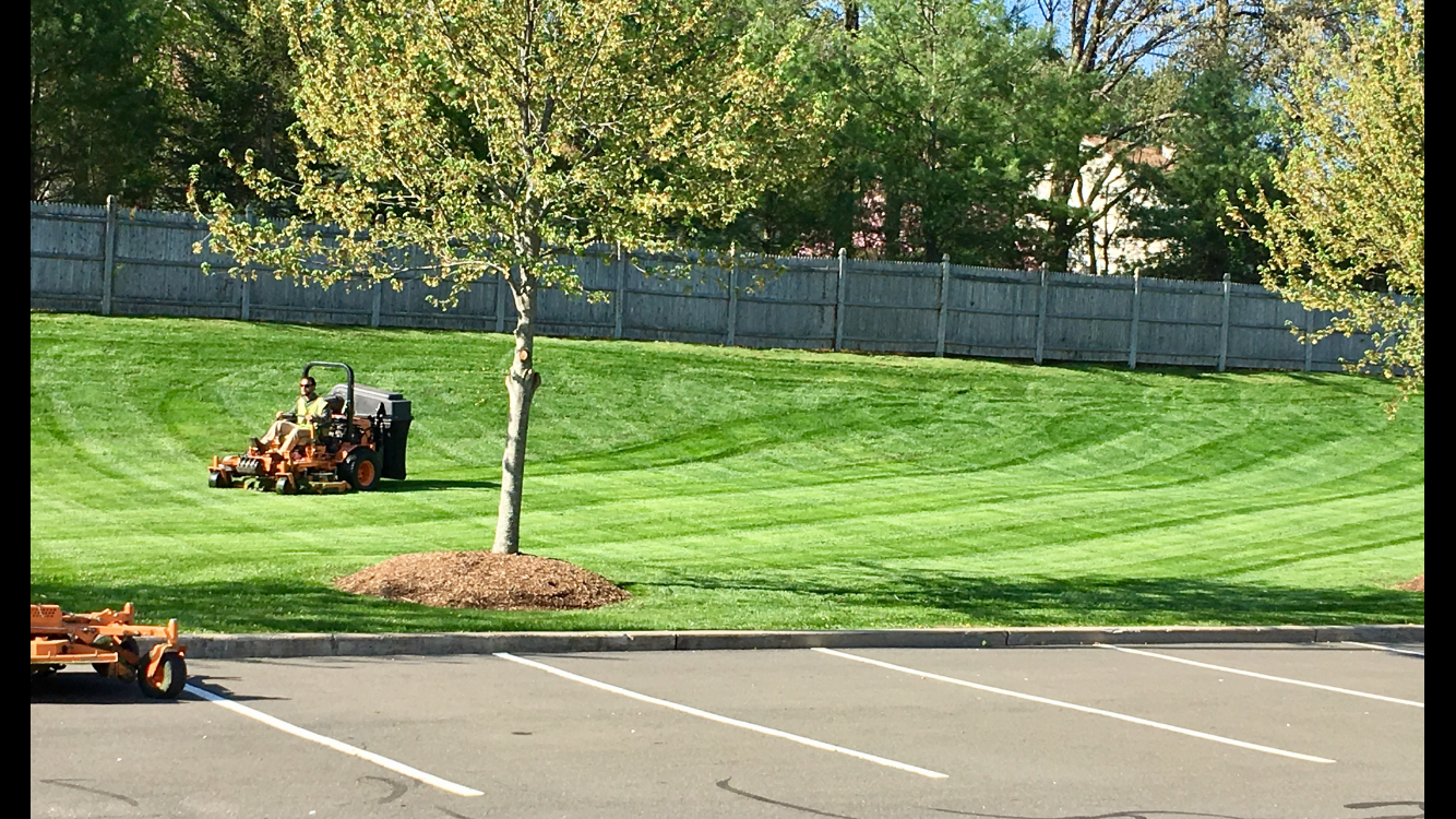 Landscape Design & Lawn Maintenance | Cromwell, CT | Viola Lawn Service ...