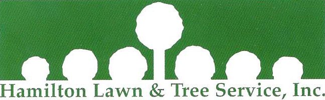 Tree Service - Hamilton Tree Service - Jacksonville, FL