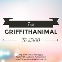 Animal Hospital – Griffith, IN – Griffith Animal Hospital P.C.