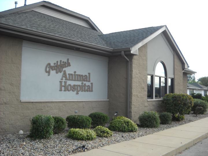 Animal Hospital Gallery – Griffith, IN – Griffith Animal Hospital P.C.