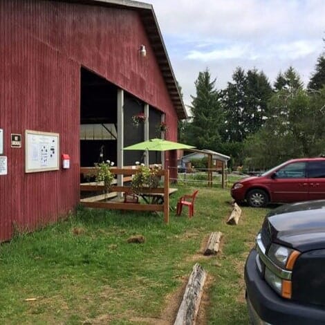 Horse Boarding | Auburn, WA | The Red Horse Farm