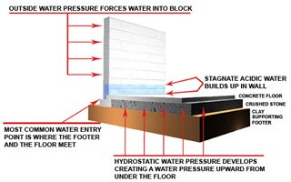 Basement Waterproofing | Crawlspace Waterproofing | Atlanta, GA