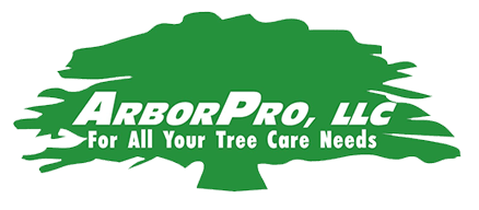 Tree Care Company - Hartland, WI - Arbor Pro Tree Service
