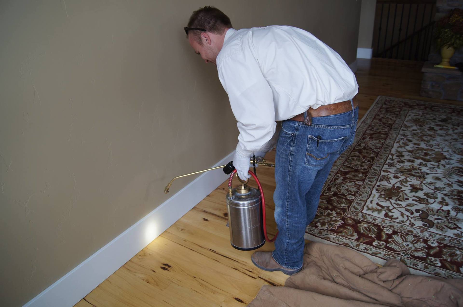 Pest Removal Services - Pocatello, ID - Moxie Lawn & Pest Control